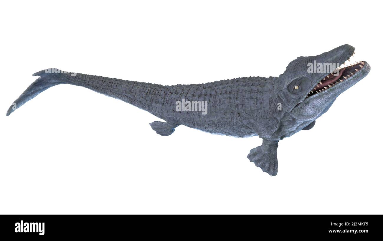 Mosasaurus Cut Out Stock Images & Pictures - Alamy