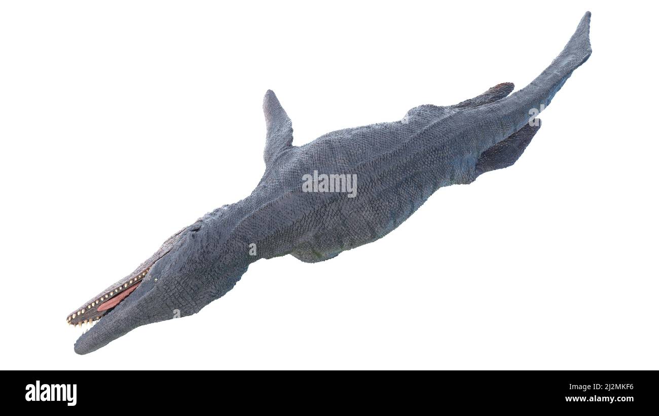 Kronosaurus hi-res stock photography and images - Alamy