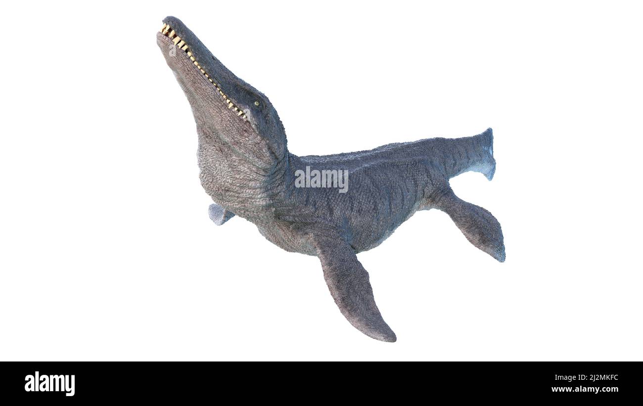 Kronosaurus hi-res stock photography and images - Alamy