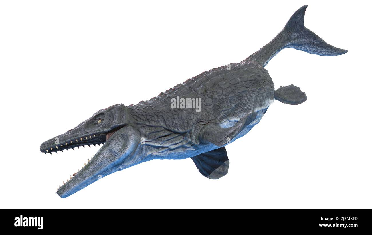Mosasaurus Cut Out Stock Images & Pictures - Alamy