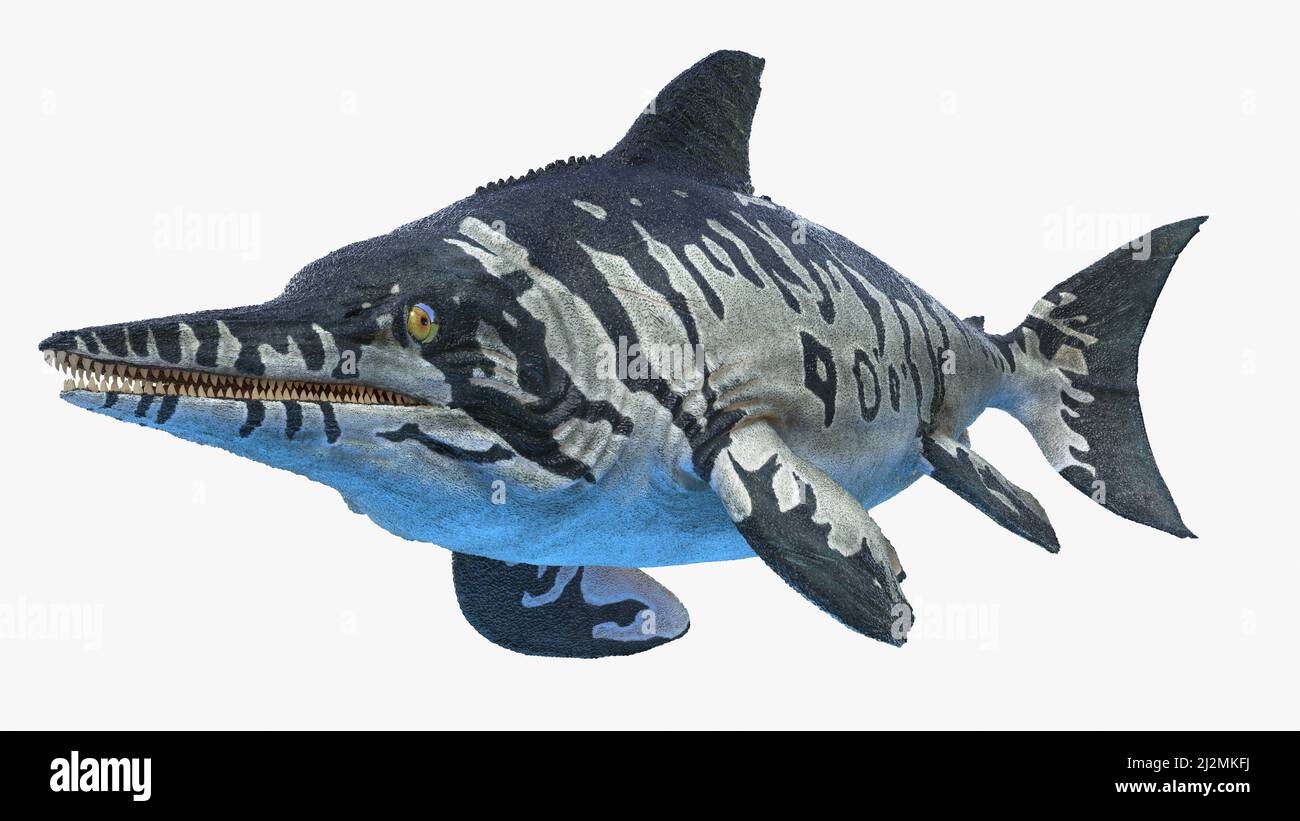 Ichthyosaurus Cut Out Stock Images & Pictures - Alamy