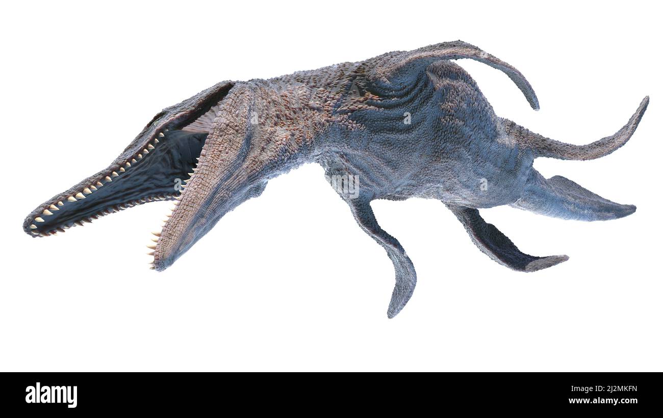 Kronosaurus hi-res stock photography and images - Alamy