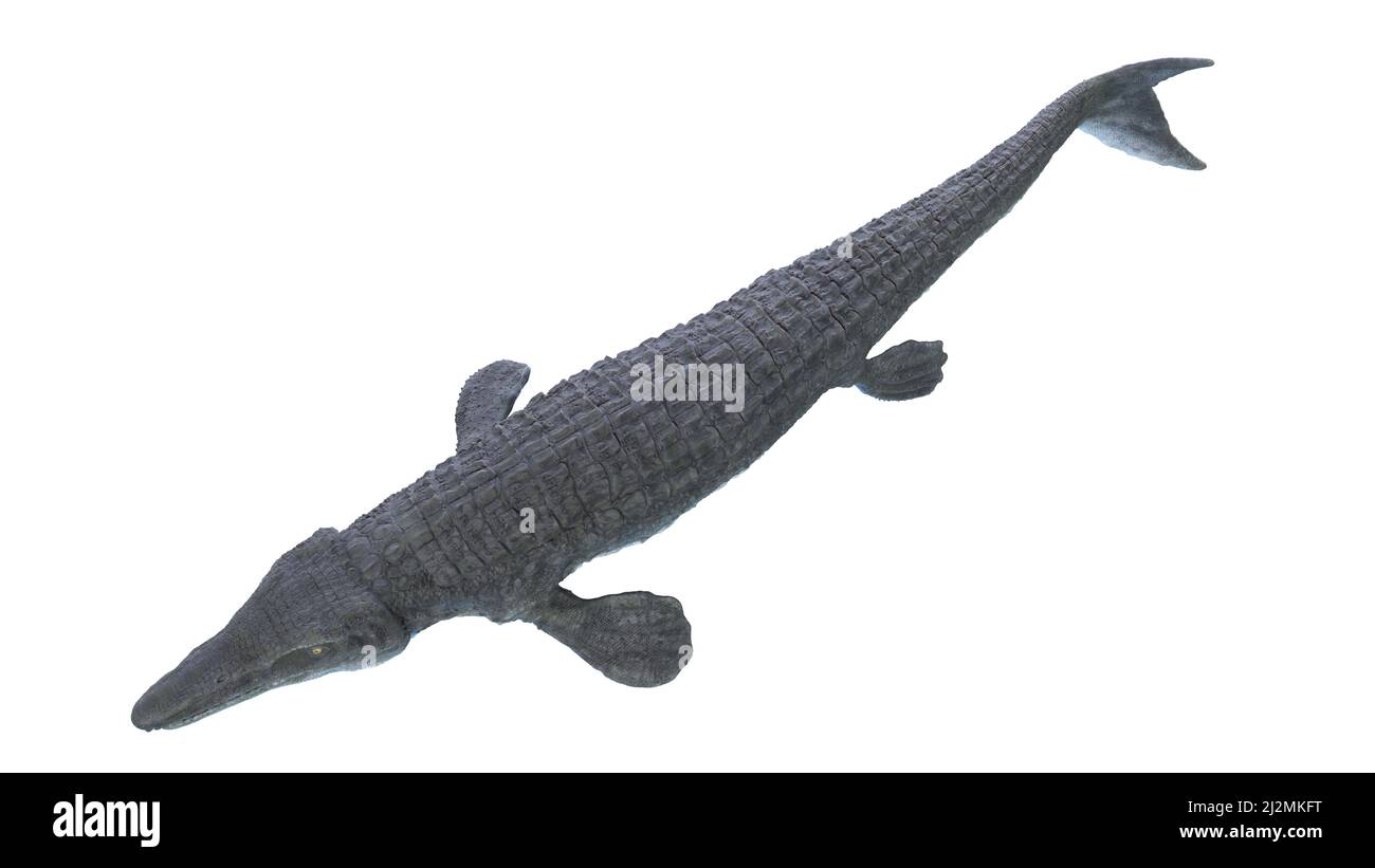 Mosasaurus Cut Out Stock Images & Pictures - Alamy