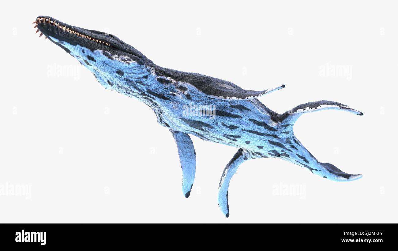 Liopleurodon Cut Out Stock Images & Pictures - Alamy