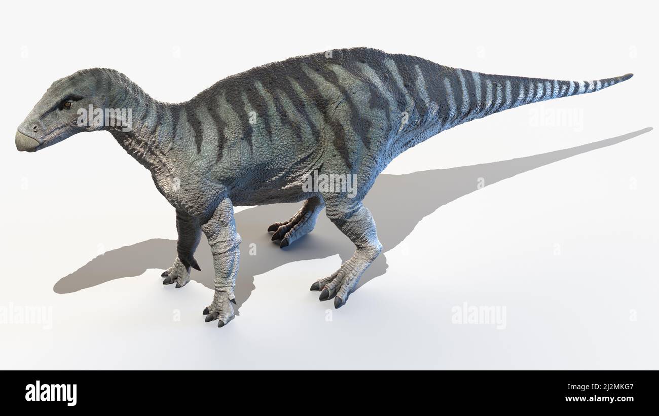 Dinosaur extinct iguanodon illustration hi-res stock photography and ...