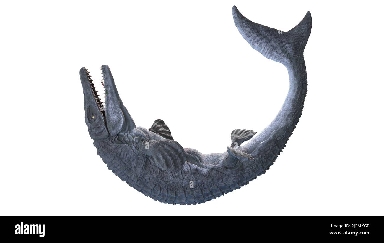 Mosasaurus dinosaur Cut Out Stock Images & Pictures - Alamy