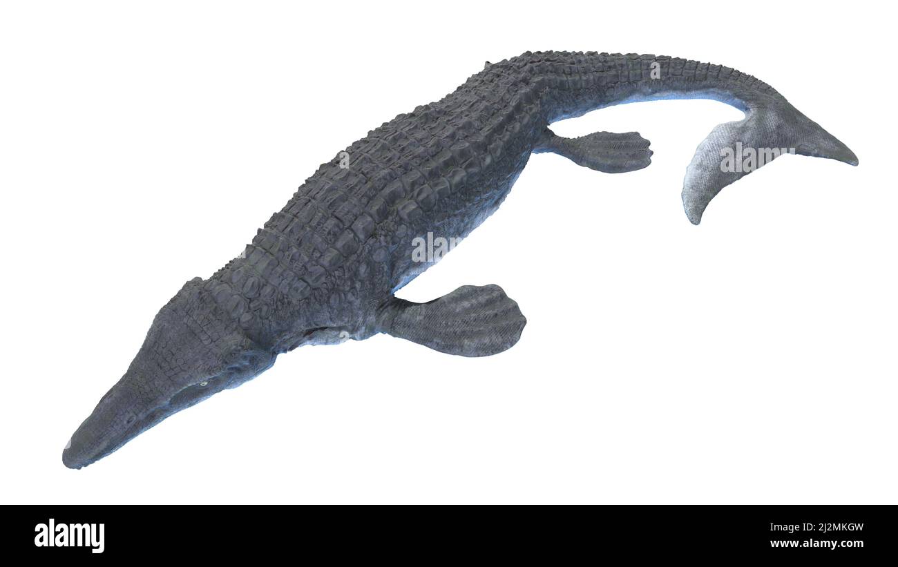 Mosasaurus Cut Out Stock Images & Pictures - Alamy