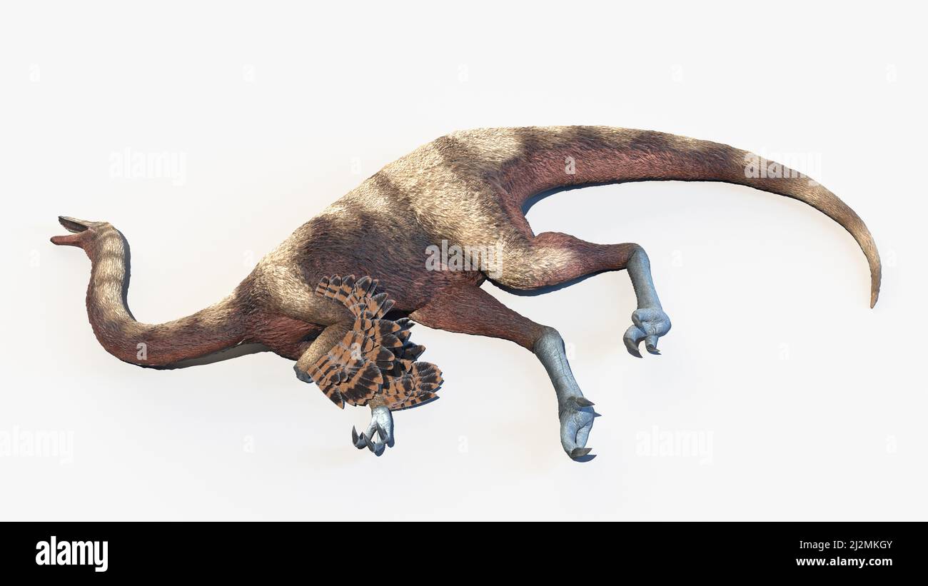 Ornithomimus hi-res stock photography and images - Alamy