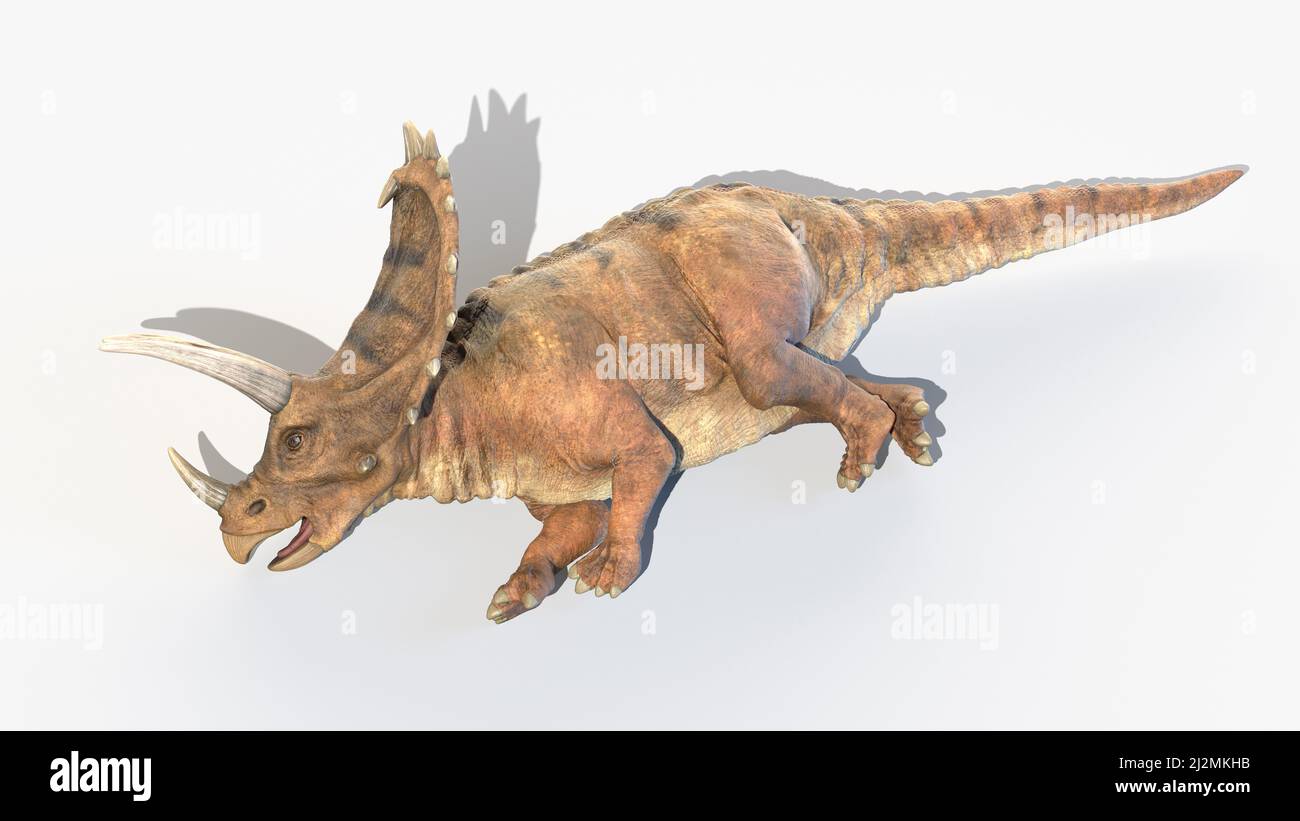 Pentaceratops hi-res stock photography and images - Alamy