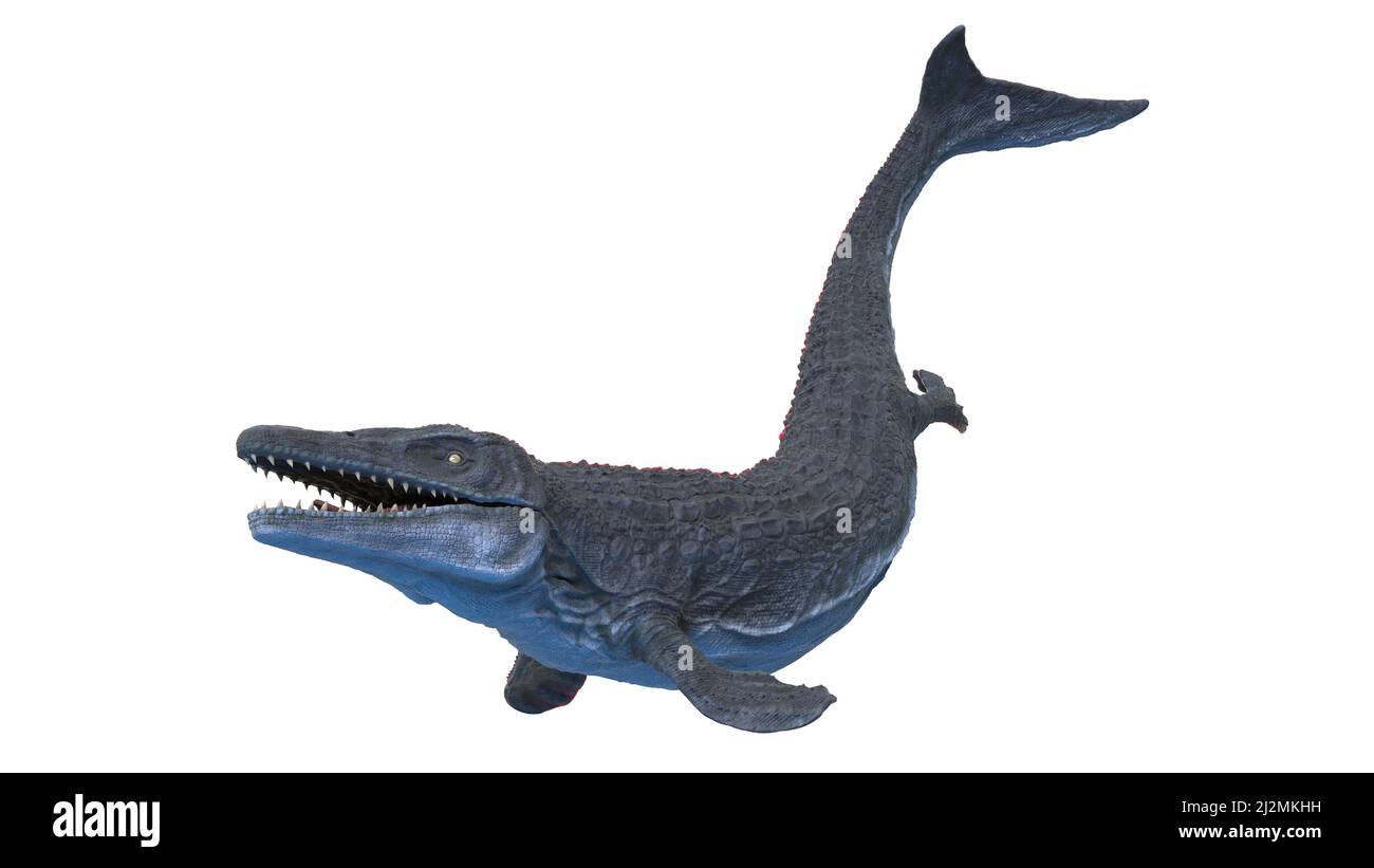 Mosasaurus Cut Out Stock Images & Pictures - Alamy