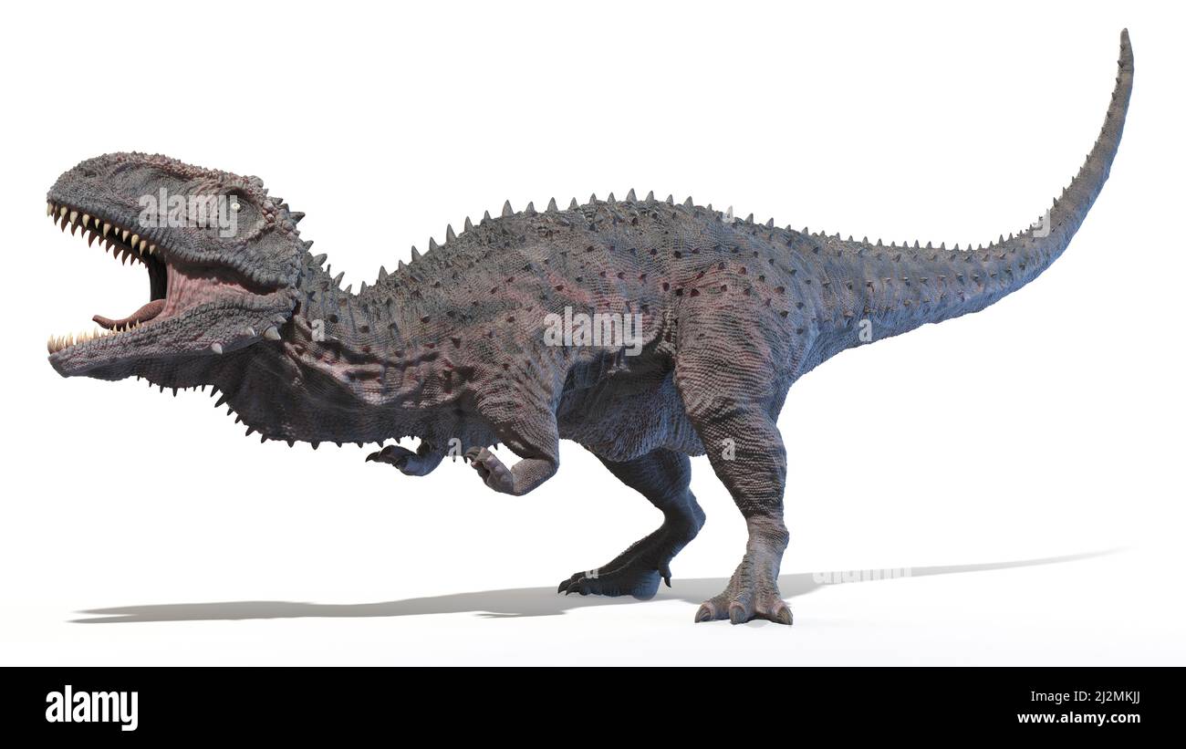 Rajasaurus hi-res stock photography and images - Alamy