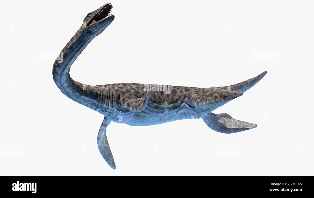 Plesiosaurus hi-res stock photography and images - Alamy