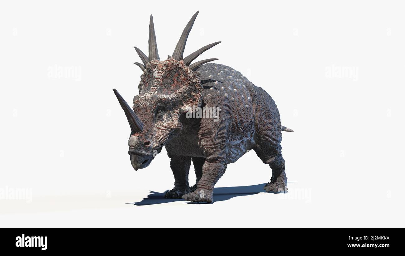 Styracosaurus hi-res stock photography and images - Alamy