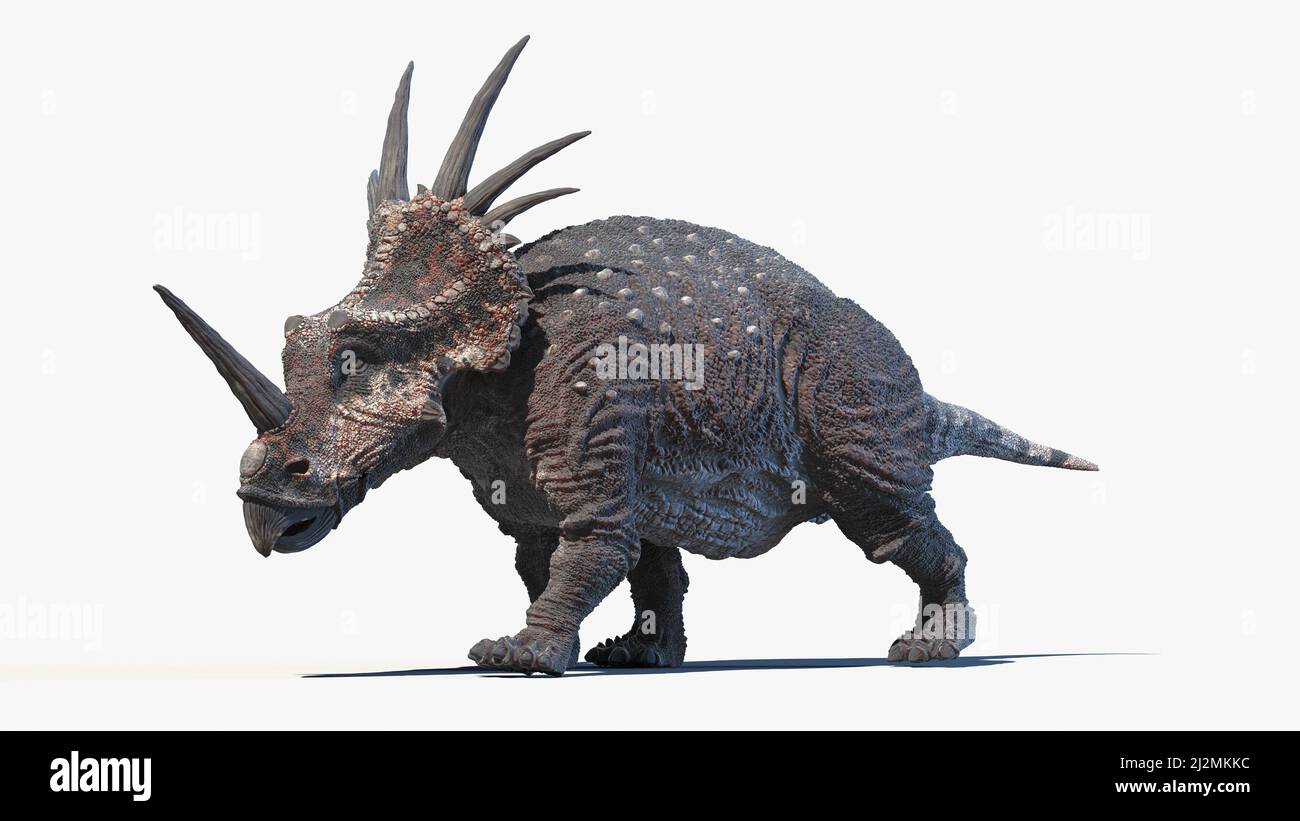 Styracosaurus dinosaur Cut Out Stock Images & Pictures - Alamy