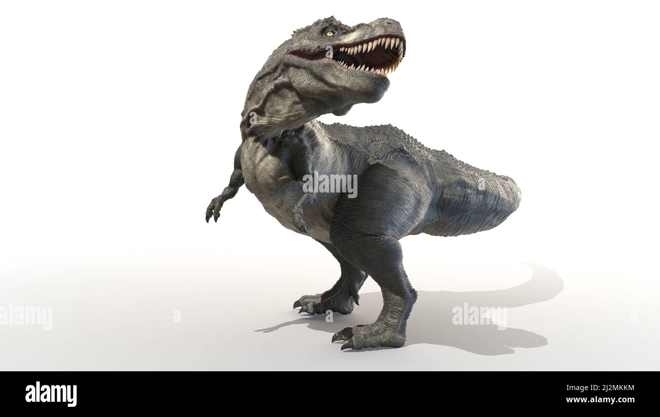 Tyrannosaurus rex, illustration Stock Photo - Alamy