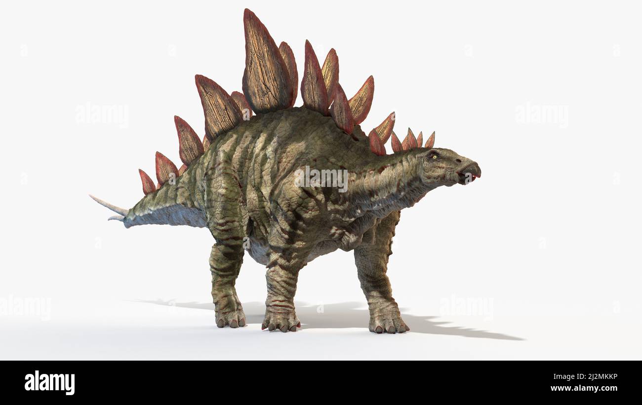 Stegosaurus 3d illustration hi-res stock photography and images - Alamy