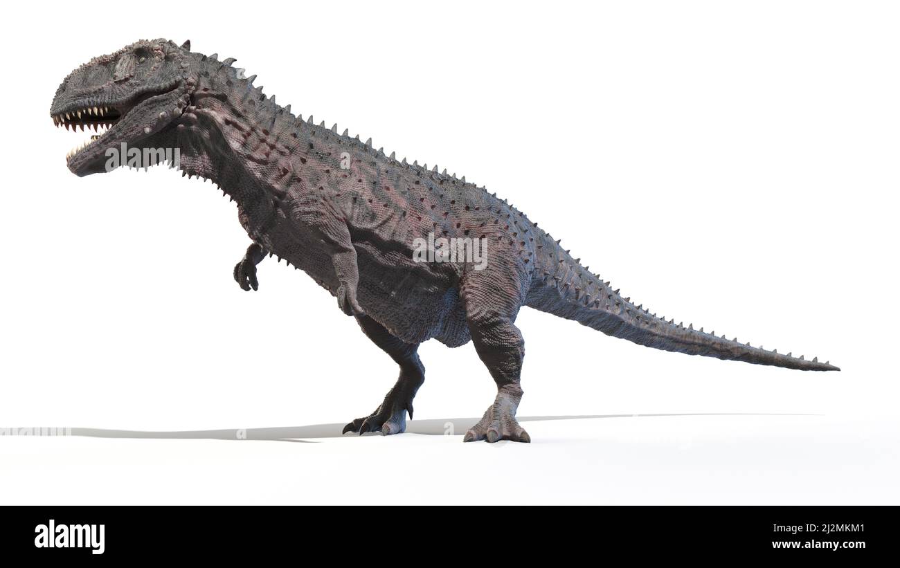 Rajasaurus hi-res stock photography and images - Alamy