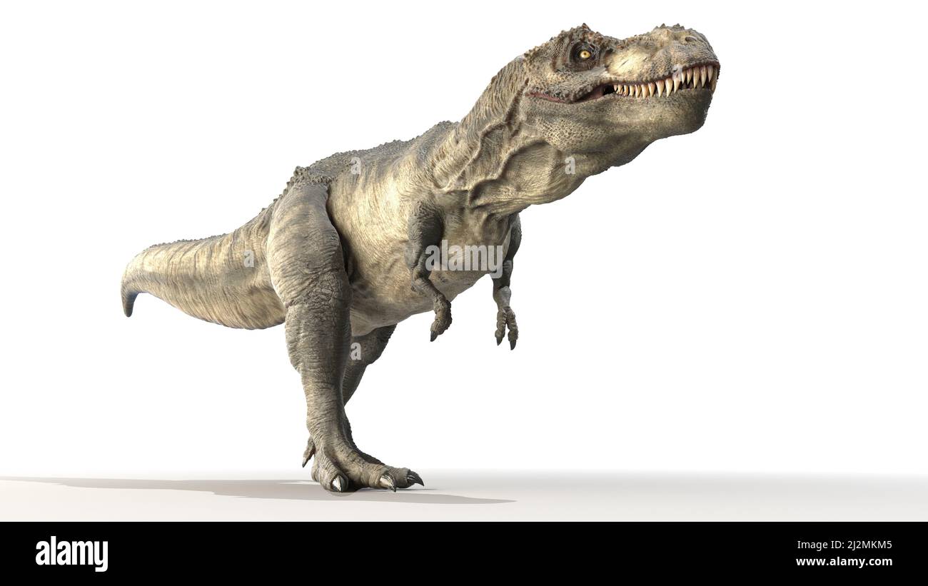 Tyrannosaurus rex, illustration Stock Photo - Alamy