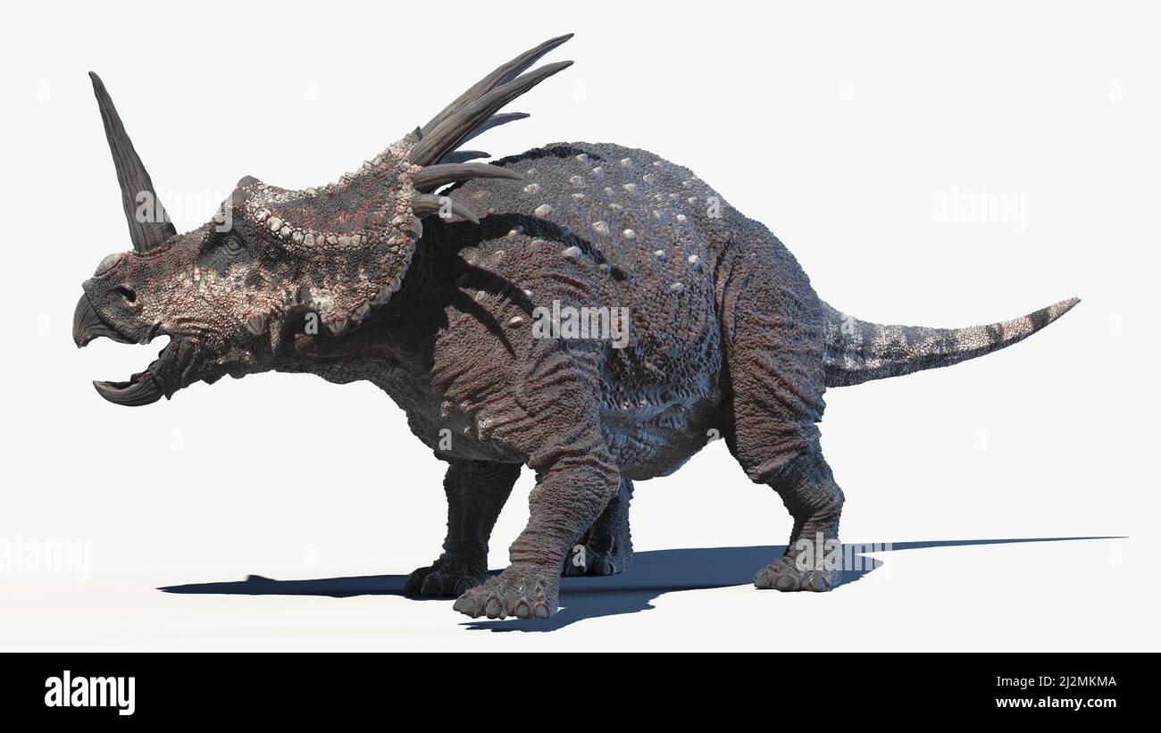 Styracosaurus Cut Out Stock Images & Pictures - Alamy
