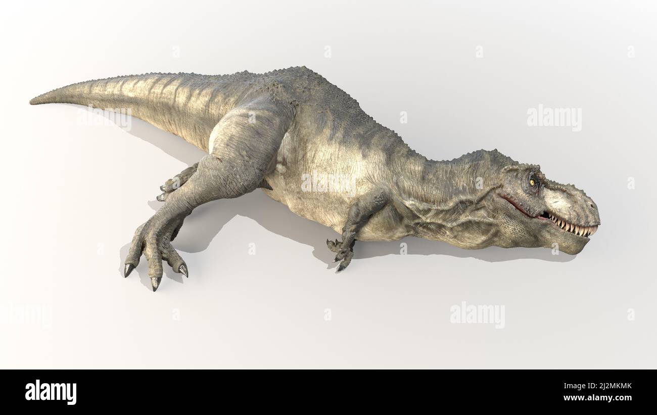 Tyrannosaurus rex, illustration Stock Photo - Alamy