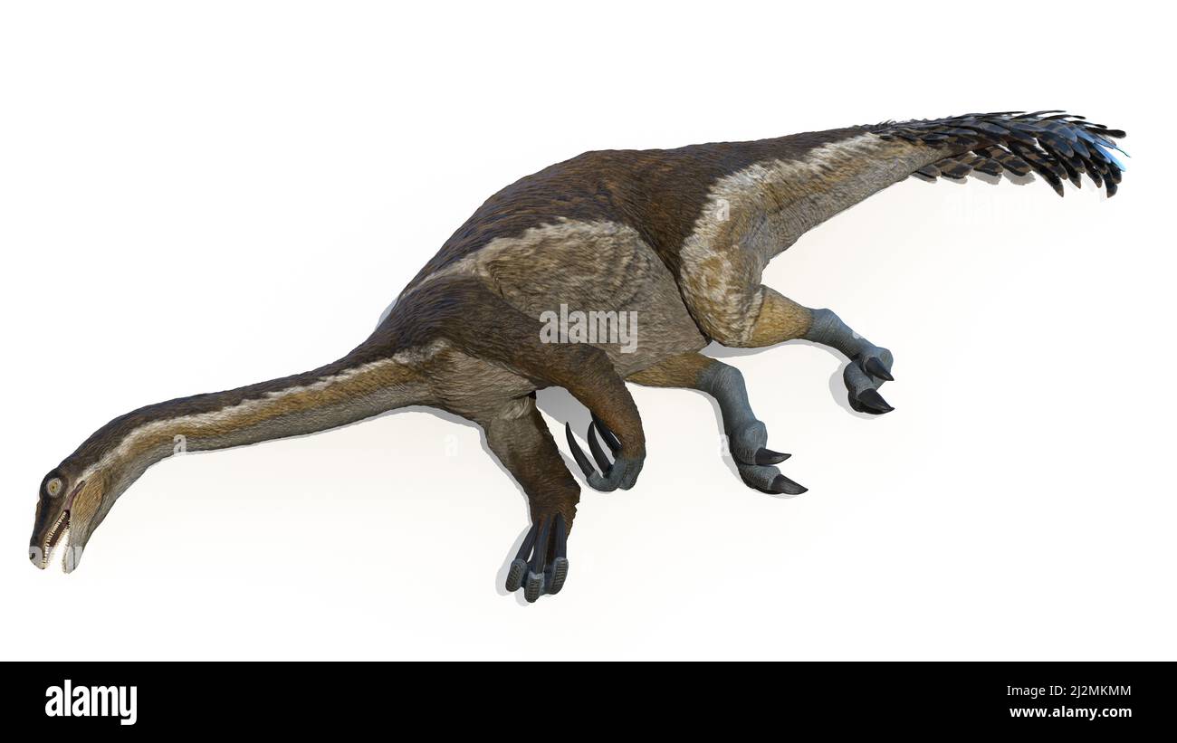 Therizinosaurus hi-res stock photography and images - Alamy