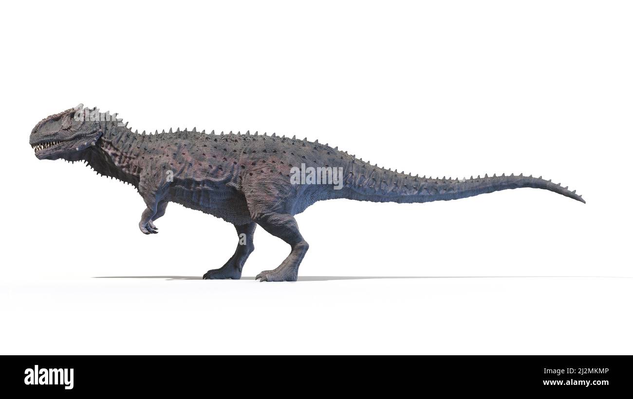 Rajasaurus hi-res stock photography and images - Alamy