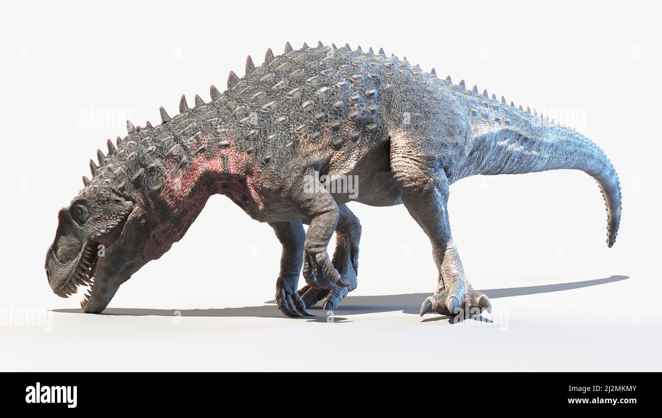 Torvosaurus hi-res stock photography and images - Alamy