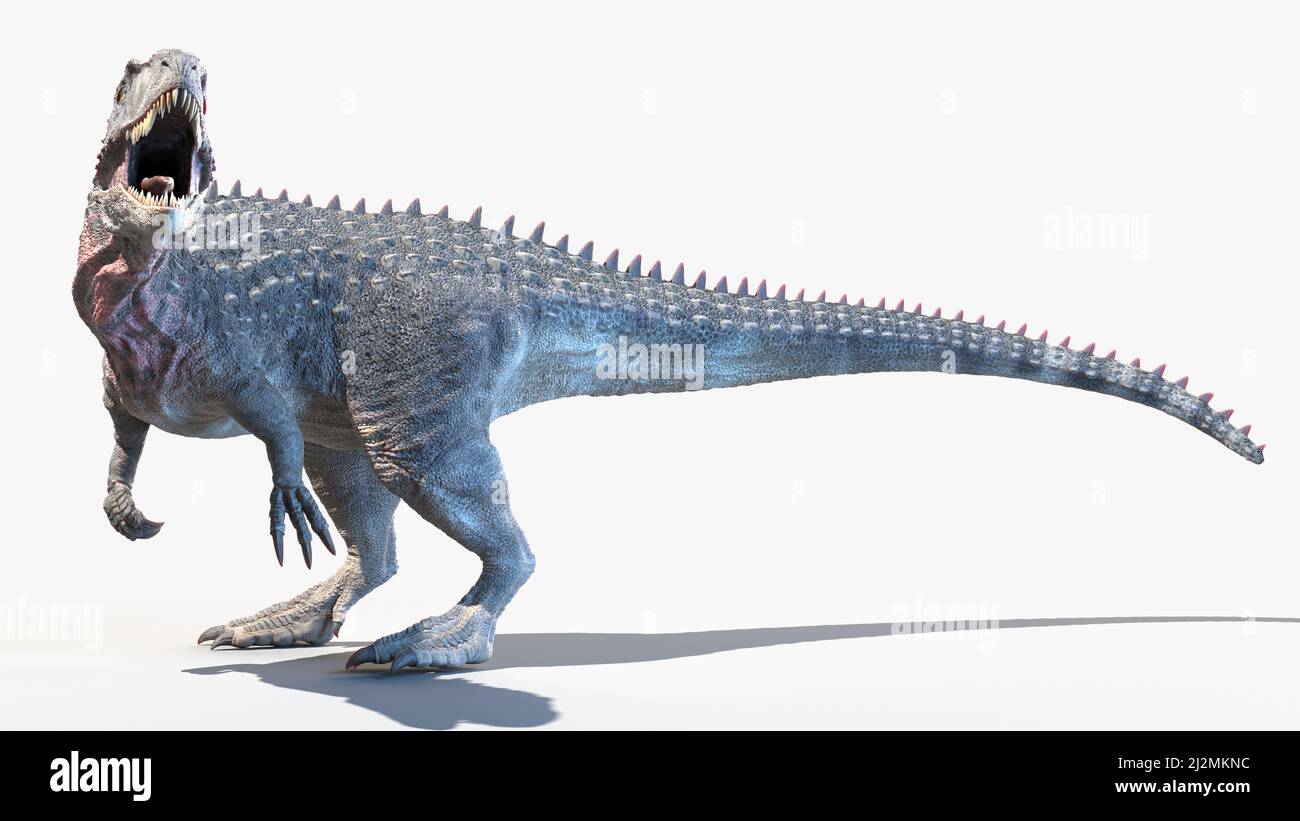 Torvosaurus hi-res stock photography and images - Alamy