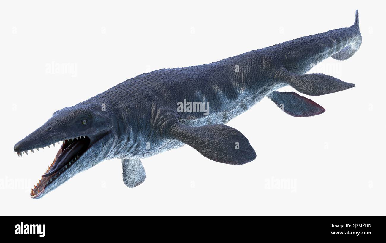 Dinosaur tylosaurus hi-res stock photography and images - Alamy