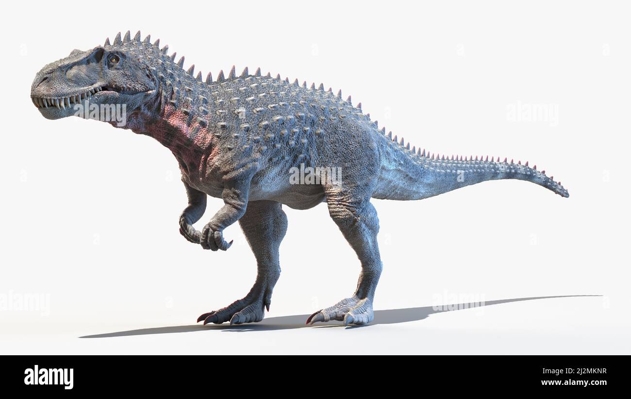 Torvosaurus hi-res stock photography and images - Alamy