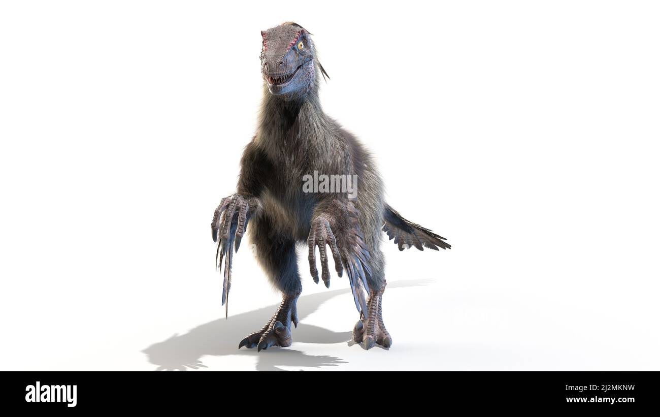 Velociraptor hi-res stock photography and images - Alamy
