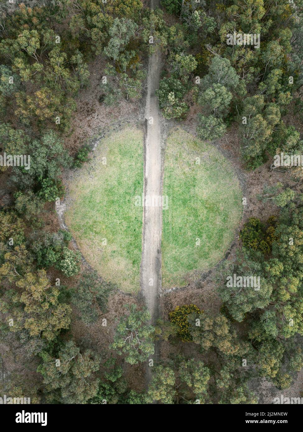 Japan trees circle hi-res stock photography and images - Alamy