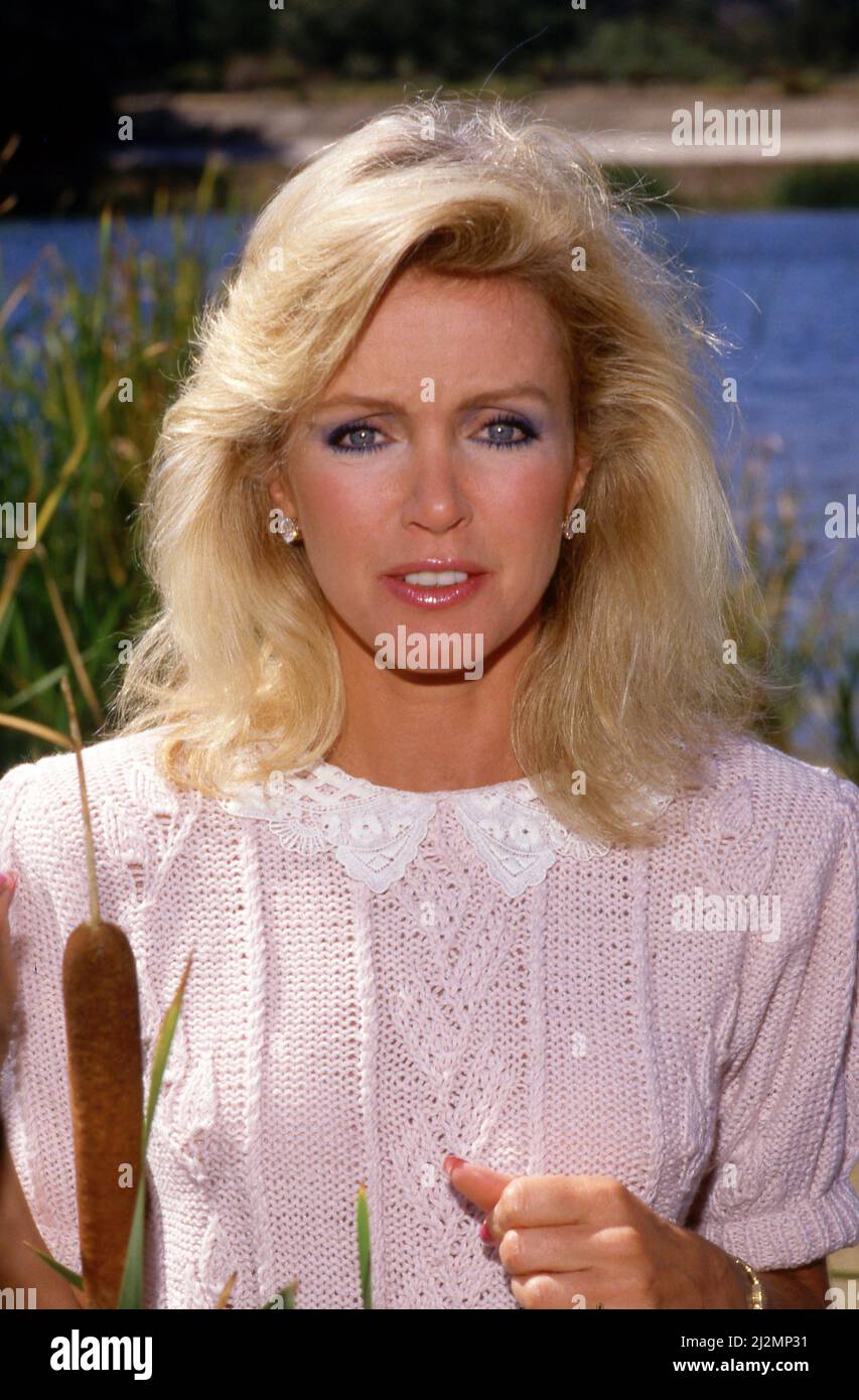 Donna Mills Circa 1980's Credit: Ralph Dominguez/MediaPunch Stock Photo ...