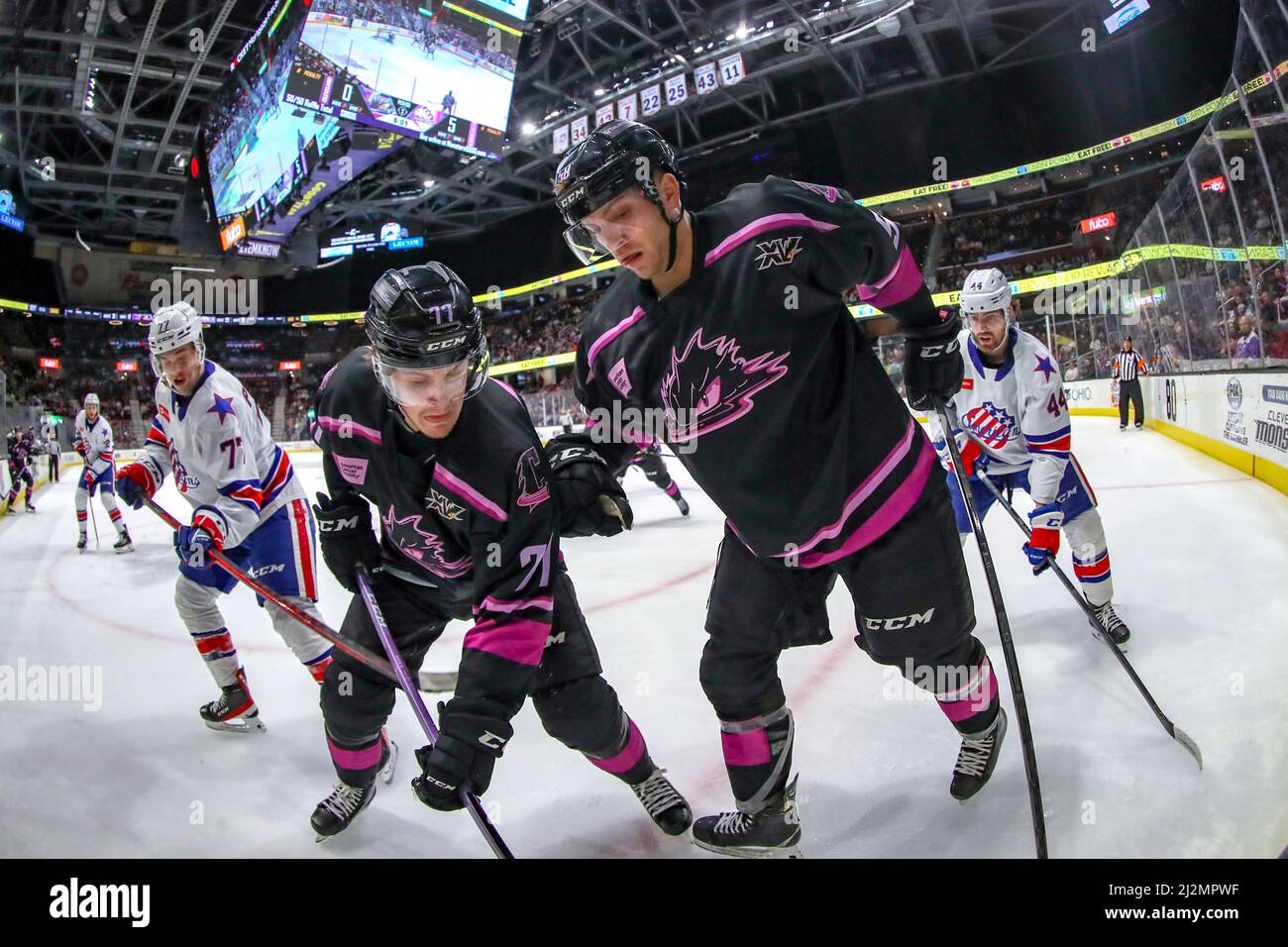 CLEVELAND, OH - APRIL 02: Cleveland Monsters left wing Tyler Angle (77 ...