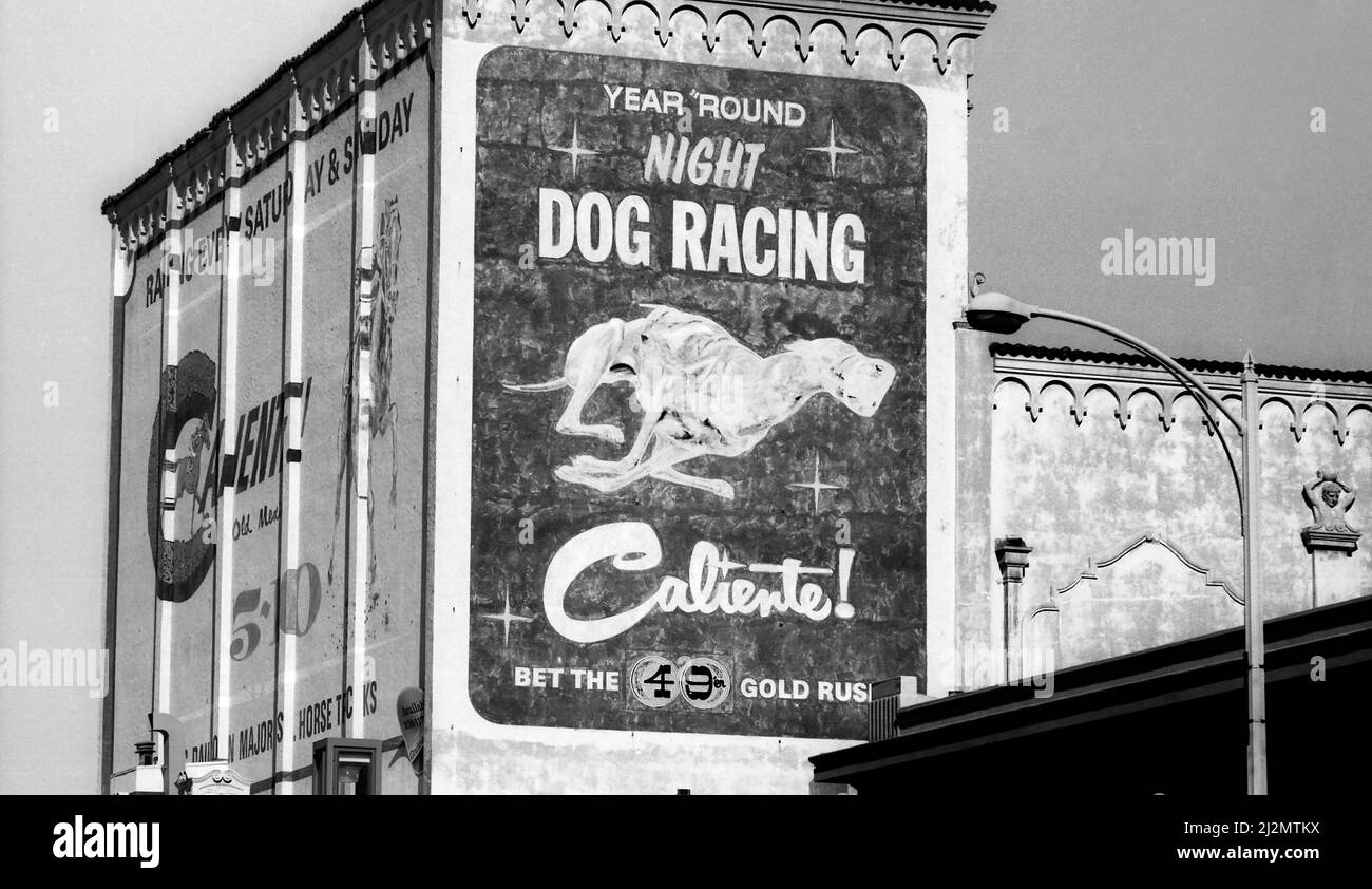 Large sign promoting dog racing at Caliente in Downtown San Diego, CA ...