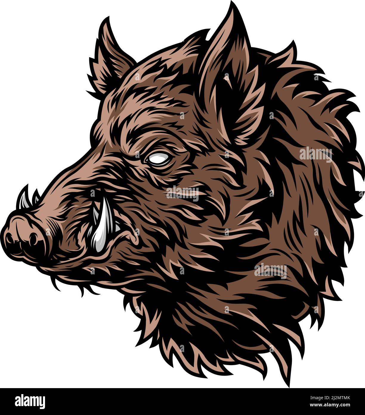 Colorful vintage wild boar with tusks on white background isolated ...