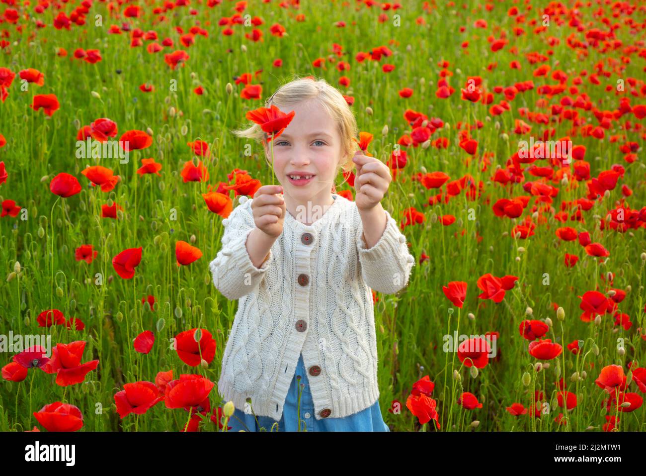 Cute child girl in poppy field. Little girl play outdoor in poppy field ...