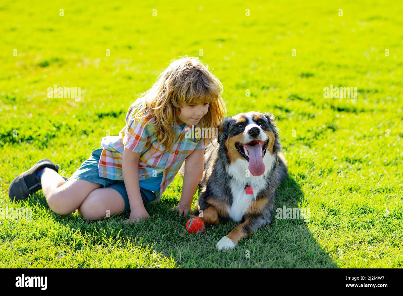 Happy child playing with dog in green grass field. Child with pet puppy ...