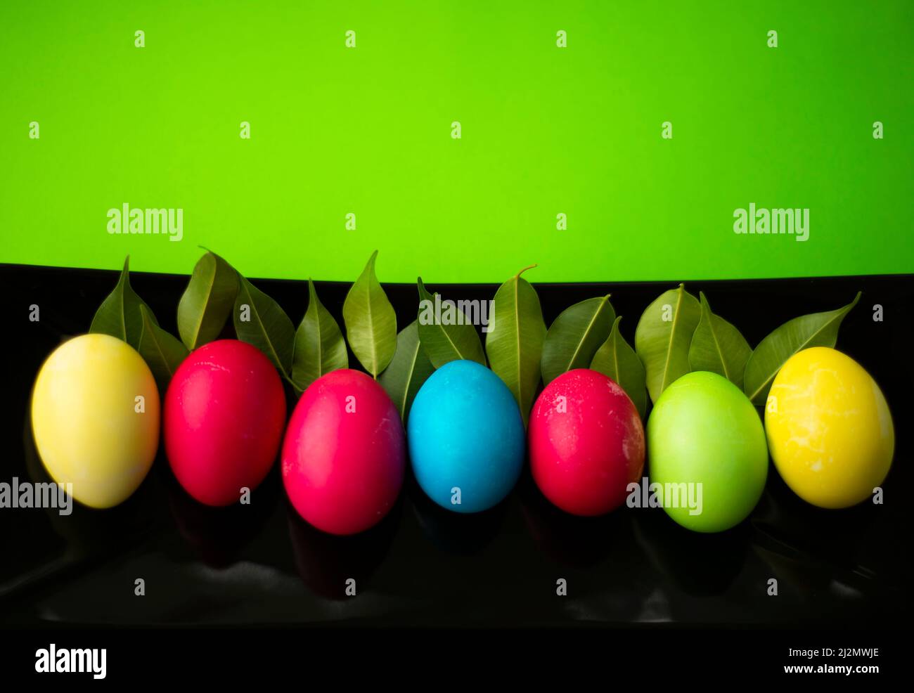 Easter backgrounds. Bright contrasting colors. Colored eggs and green ...