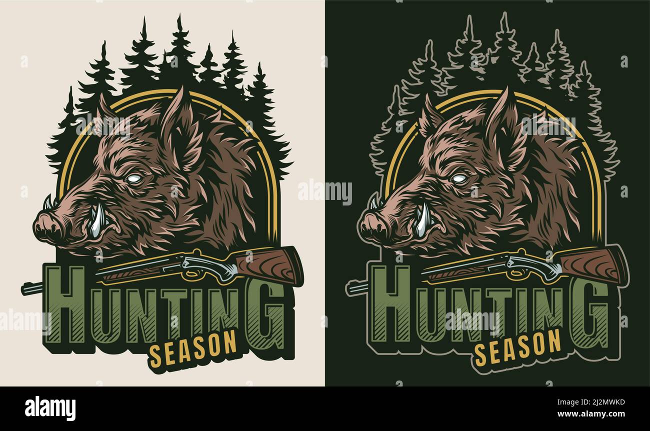 Vintage hunting colorful logo with weapon trees and serious wild boar ...