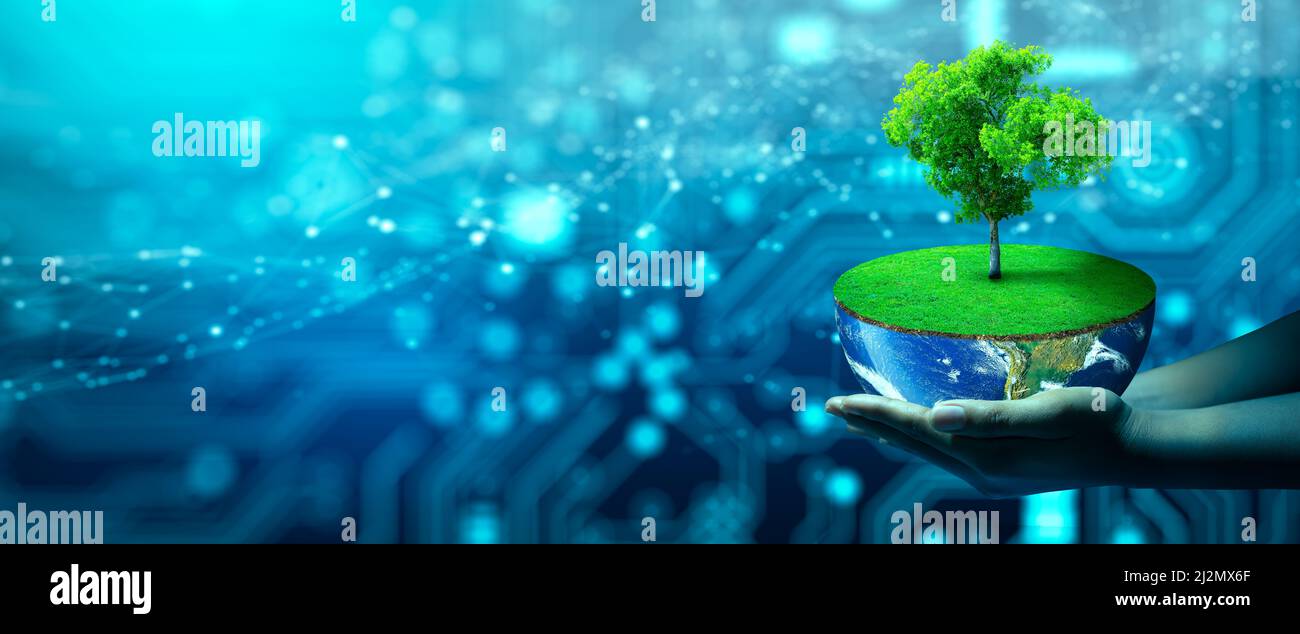 Hand holding haft of Earth with Tree growing on. Eco Technology and ...