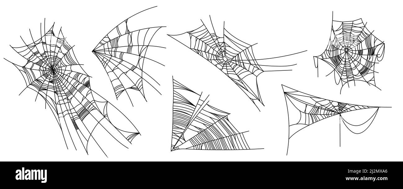 Spider web parts isolated on white background. Scary cobweb outline ...