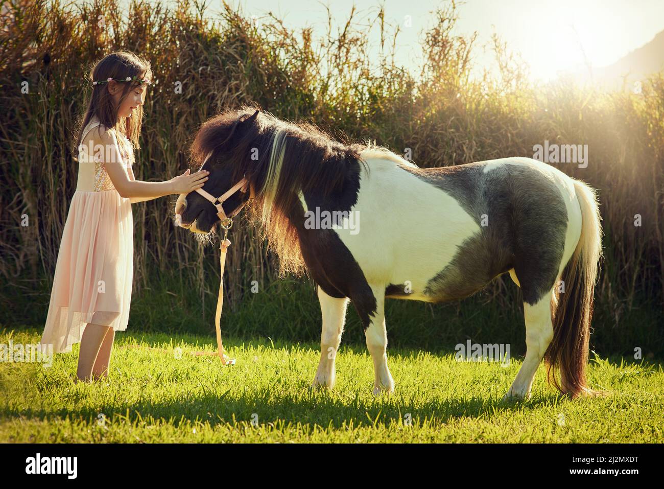 Kids with a pony hi-res stock photography and images - Alamy