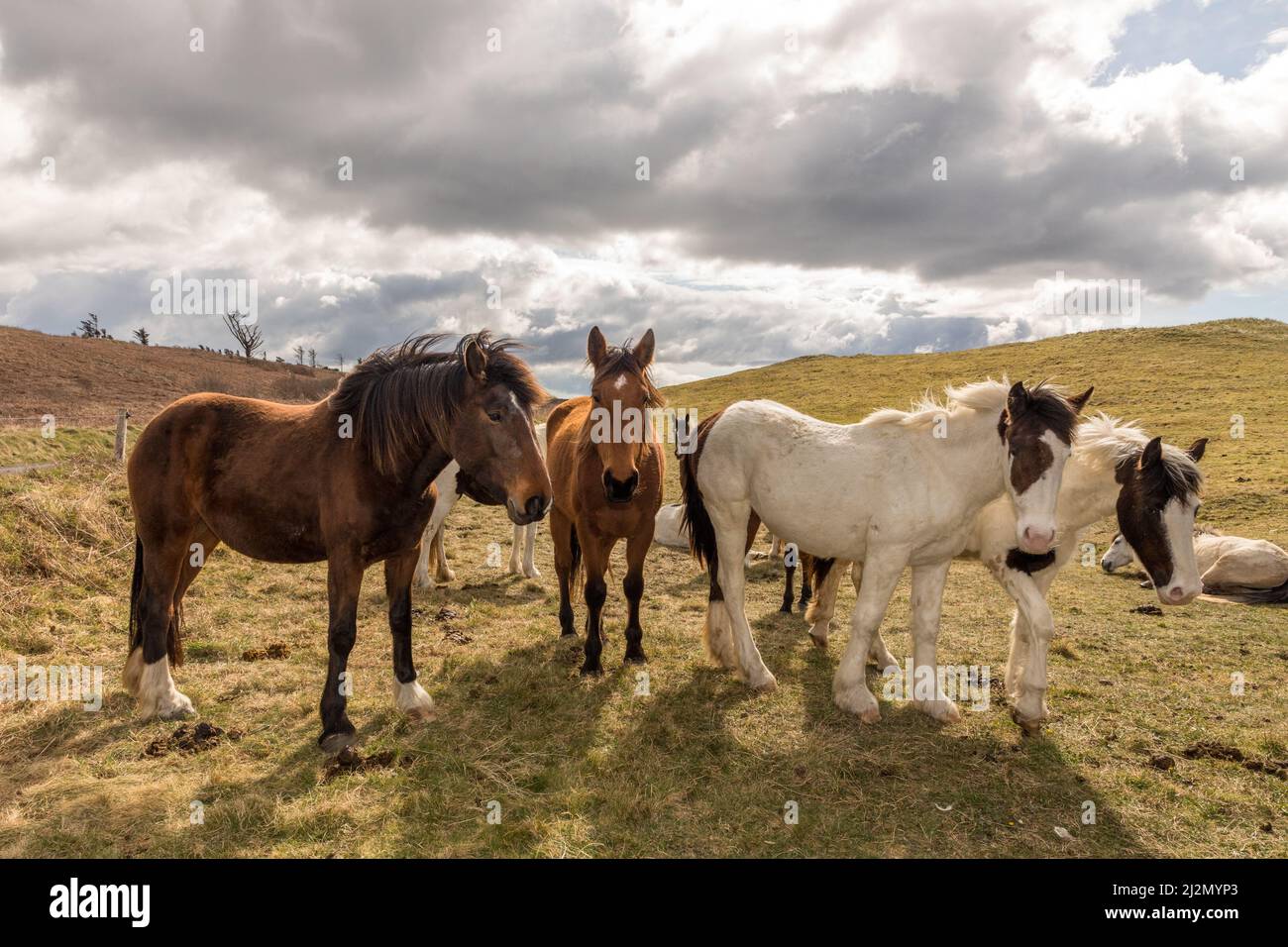 Rosscarbery co cork hi-res stock photography and images - Alamy