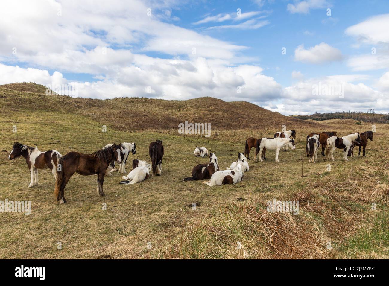 Rosscarbery co cork hi-res stock photography and images - Alamy