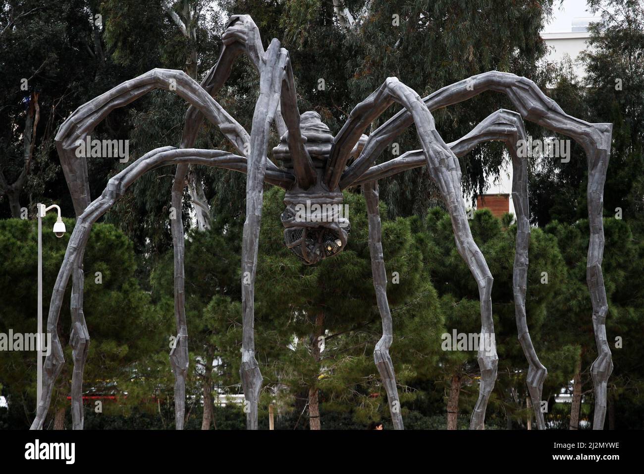 The sculpture "Maman" (1999) by French-US artist Louise Bourgeois is ...