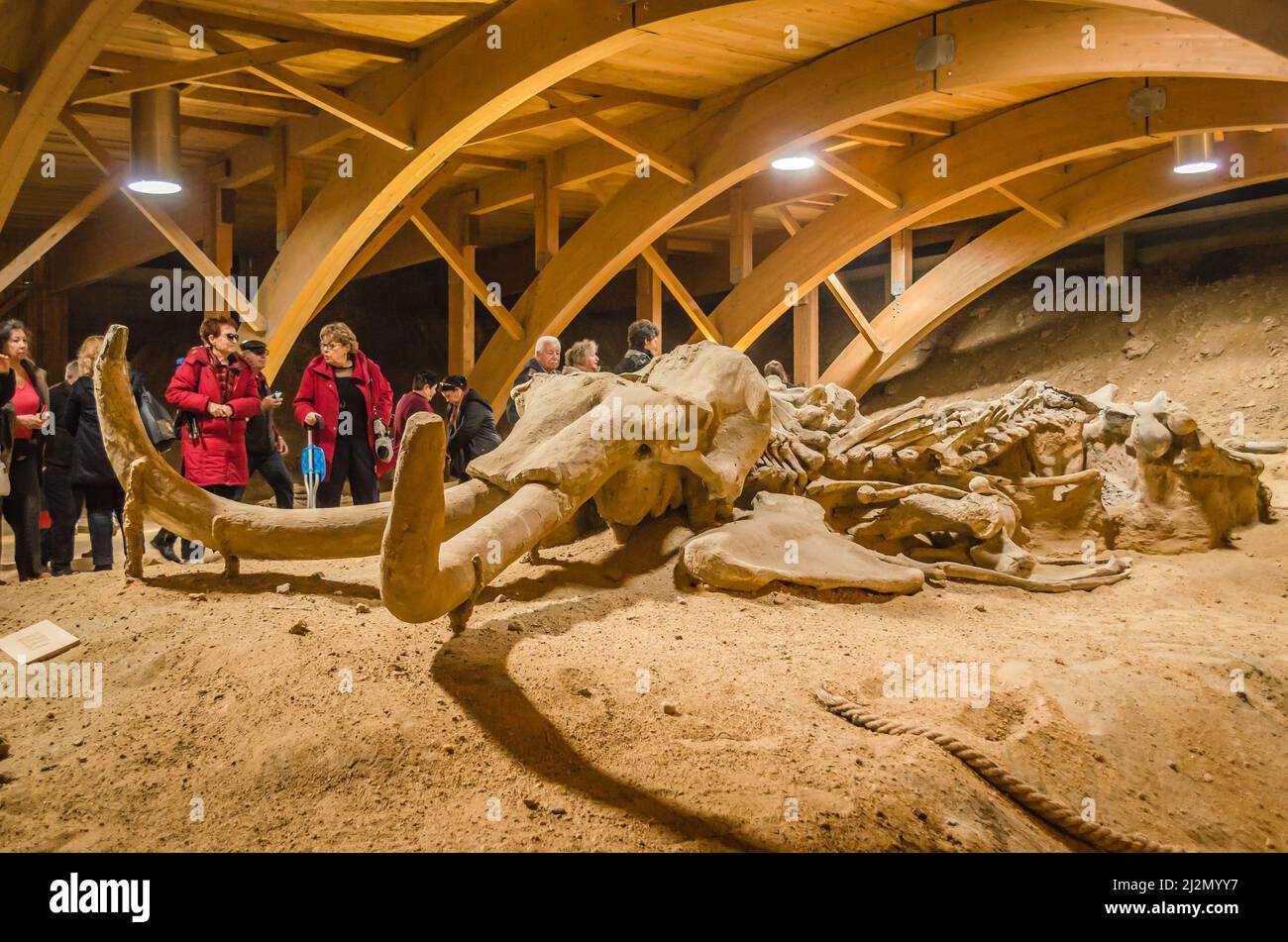 Hunting mammoth ice age hi-res stock photography and images - Alamy