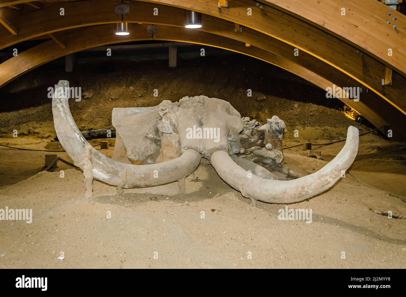Prehistoric ice age hi-res stock photography and images - Alamy