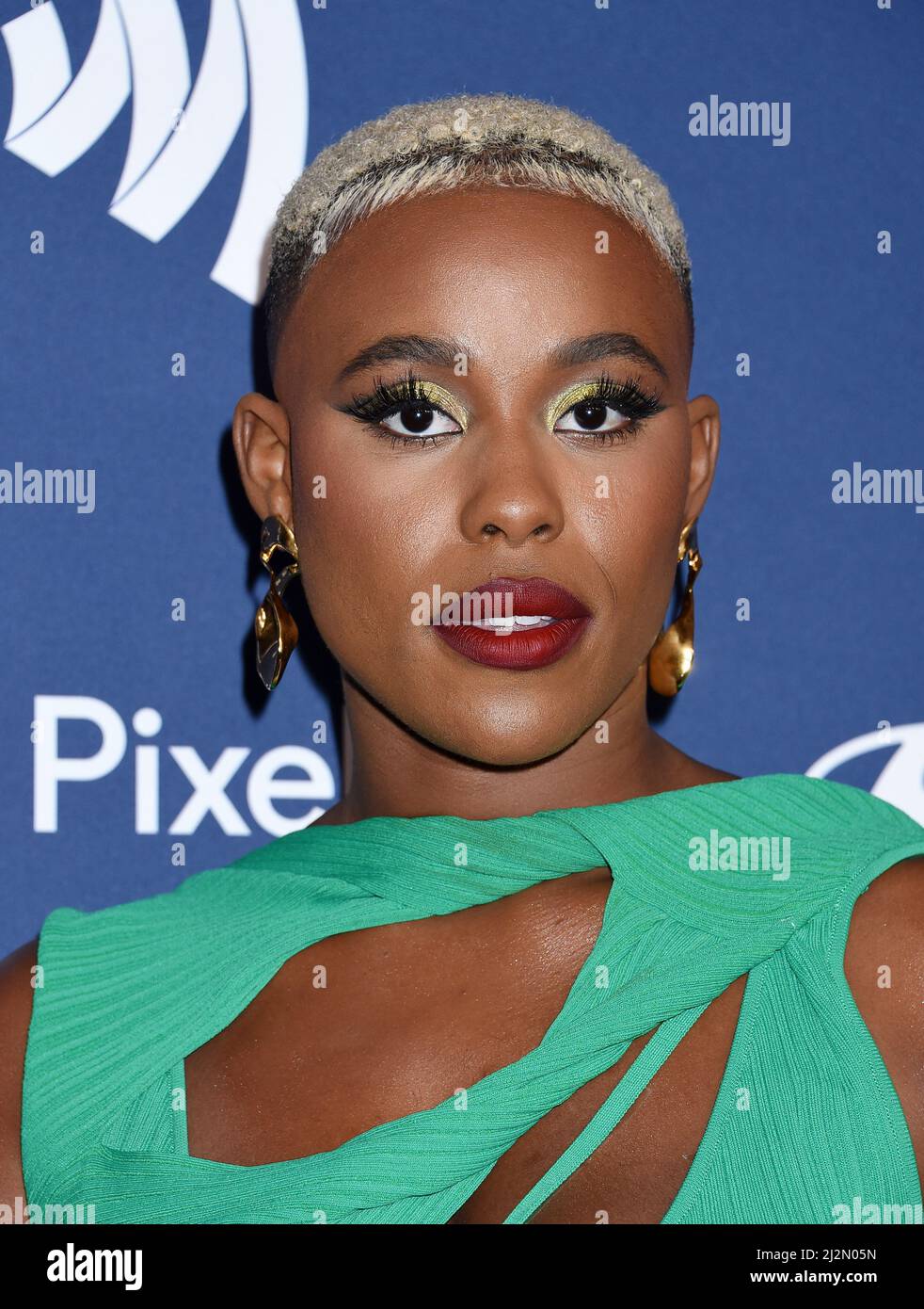 Jerrie Johnson at the 33rd Annual GLAAD Media Awards held at the ...