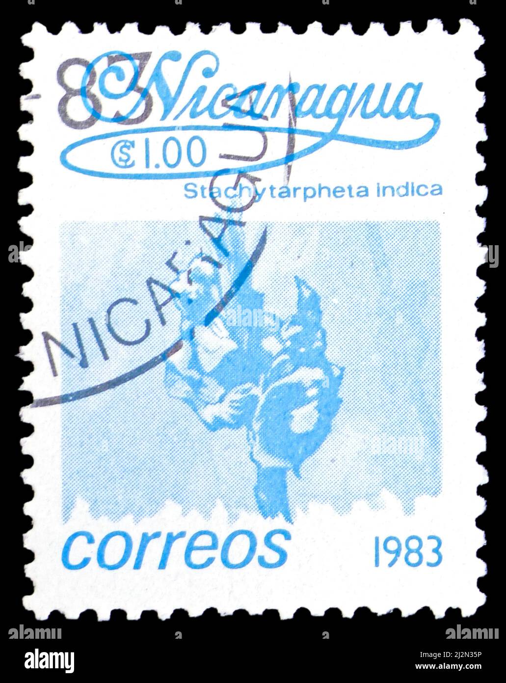 MOSCOW, RUSSIA - MARCH 13, 2022: Postage stamp printed in Nicaragua ...